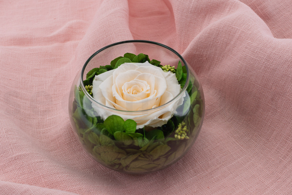 Preserved Rose In Glass Bowl Light Peach