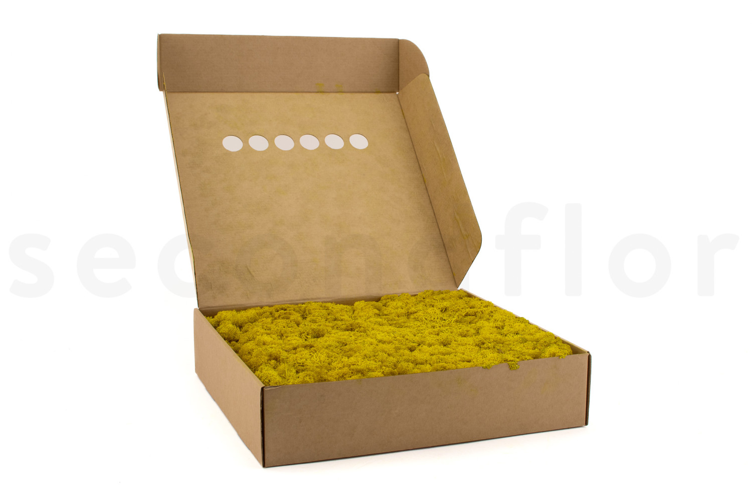 Preserved Lichen - Box 2.2 lbs - Yellow Reindeer moss